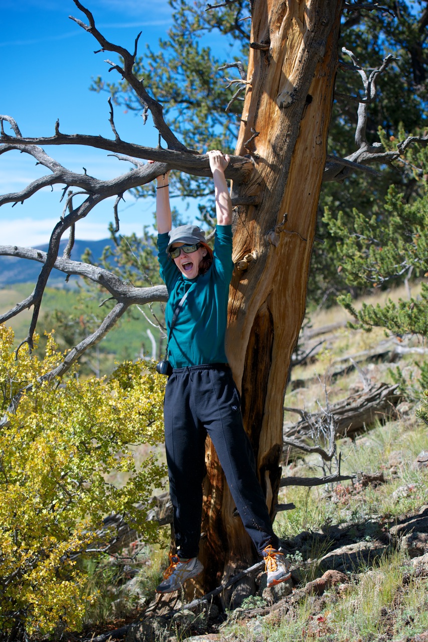 Here’s the Whee Tree – Strong Words & Simple Truths